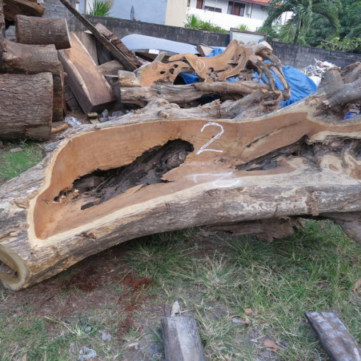 Bali Wood Slab – Supply Slab Wood to all over the world – Wholesaler ...