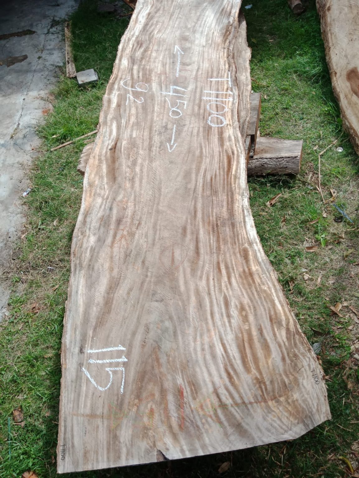 Table 450 cm (T1100) – Bali Wood Slab